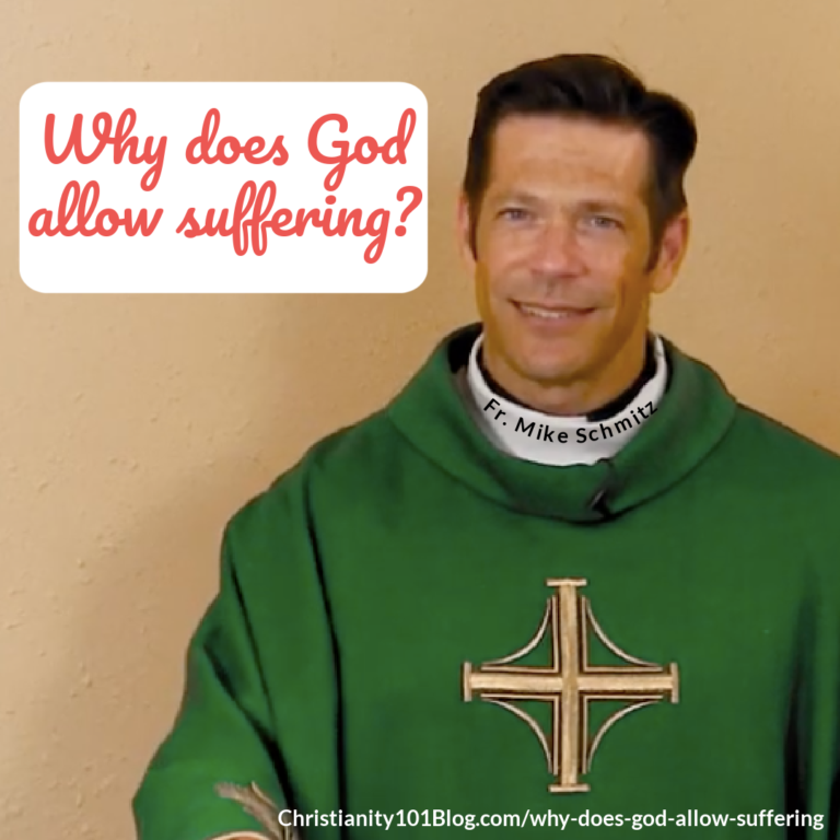 Father Mike Schmitz: "Why Does God Allow Suffering" - Christianity 101